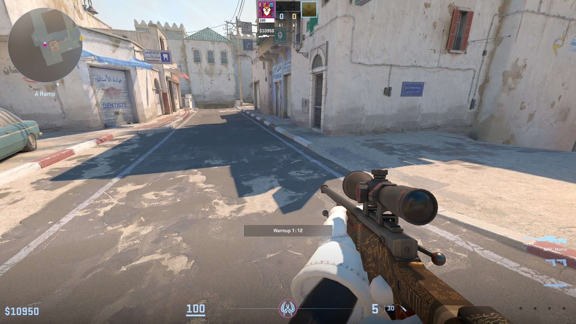 Cait Sith Mod for Counter-Strike 2 | CS2 Mods