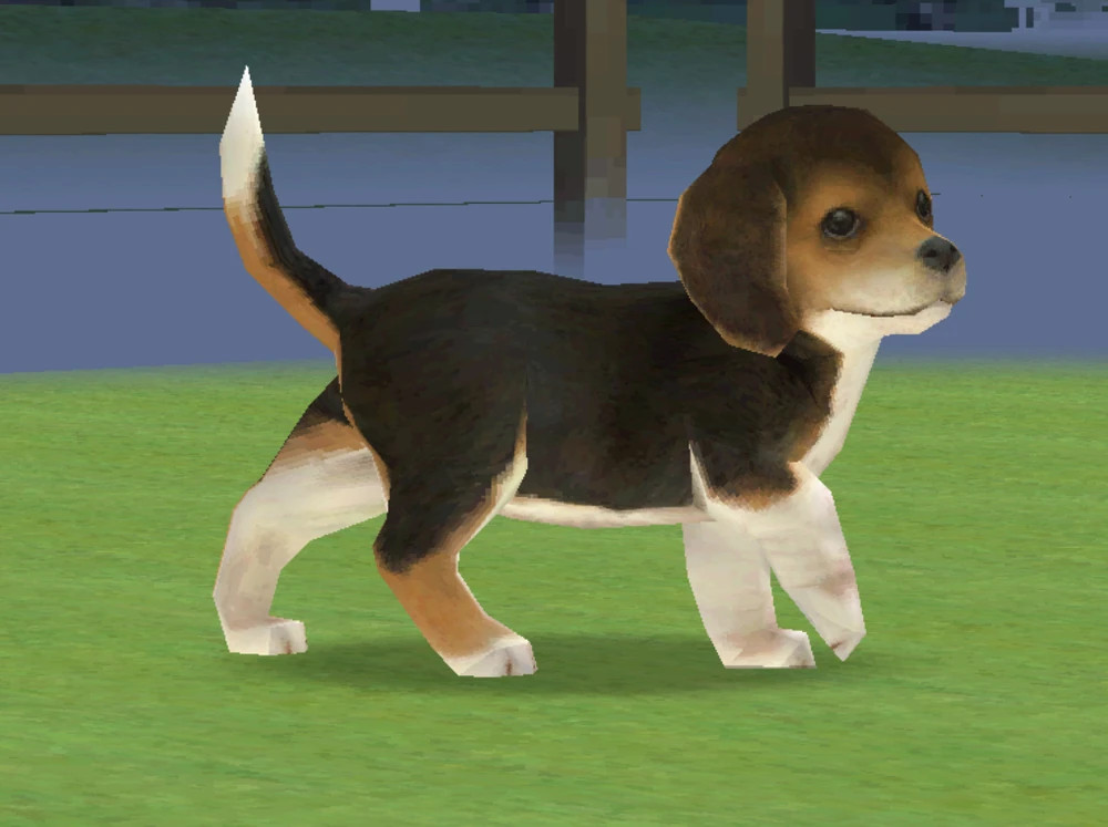 Nintendogs Beagle Mod for Ship of Harkinian (Ocarina of Time PC Port ...