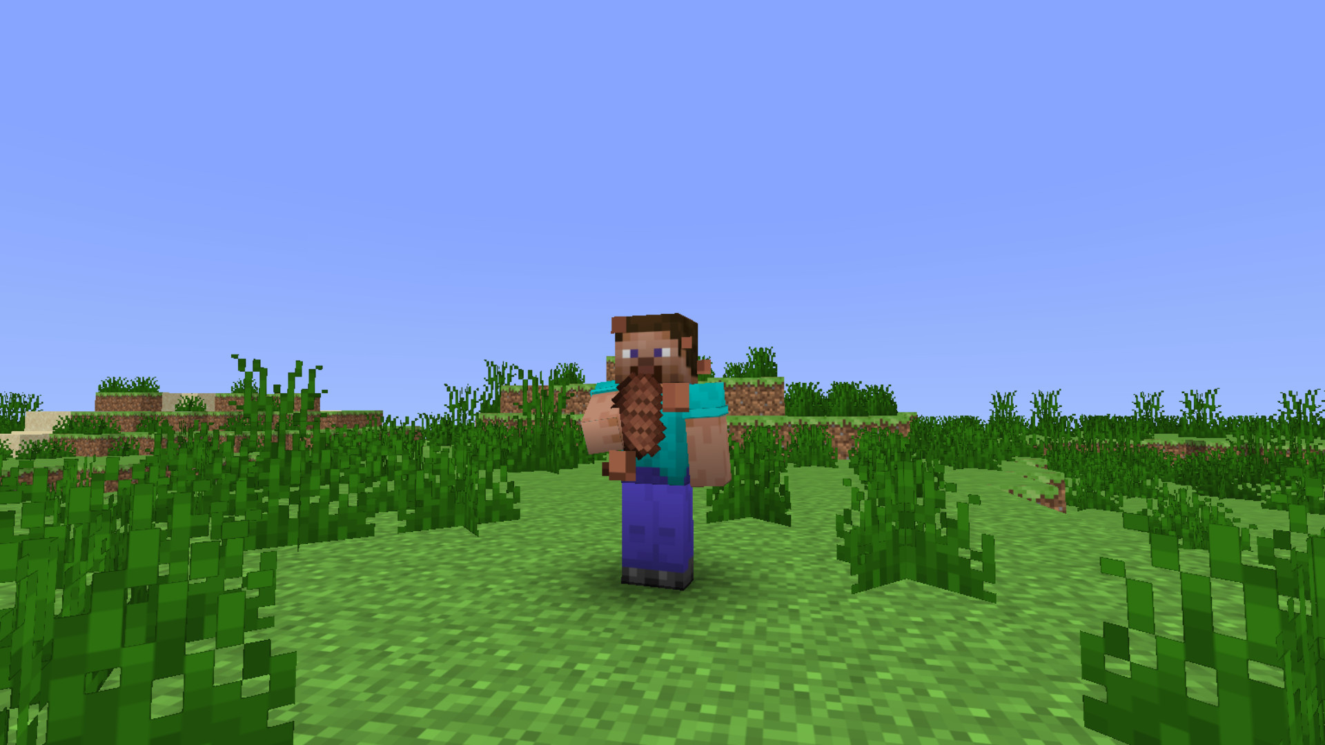 Steve (Minecraft) Mod for Sonic World DX | SWDX Mods
