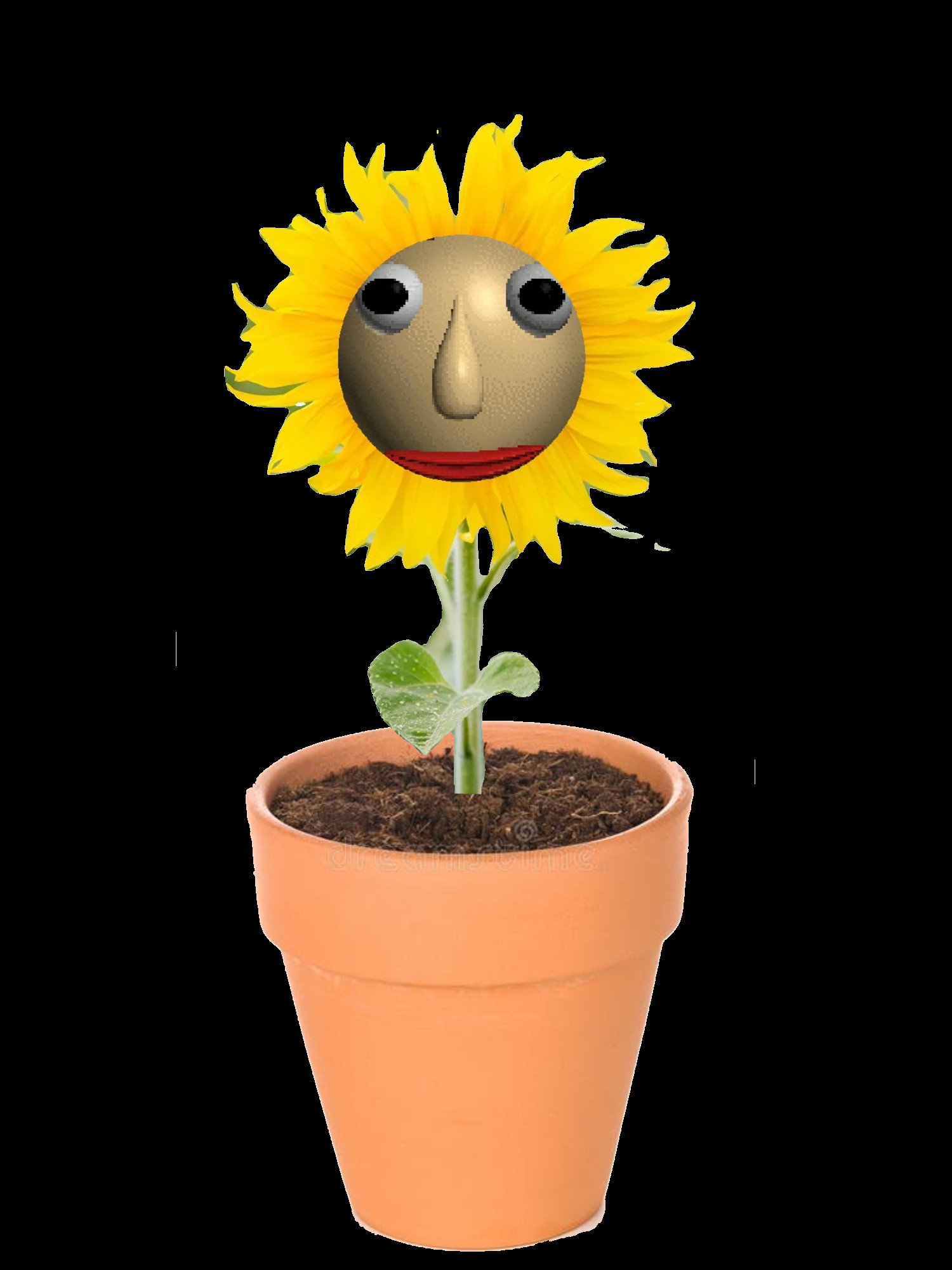 [SENSITIVE CONTENT] Friday Night Funkin' My Baldi Flower 100 Mod for ...