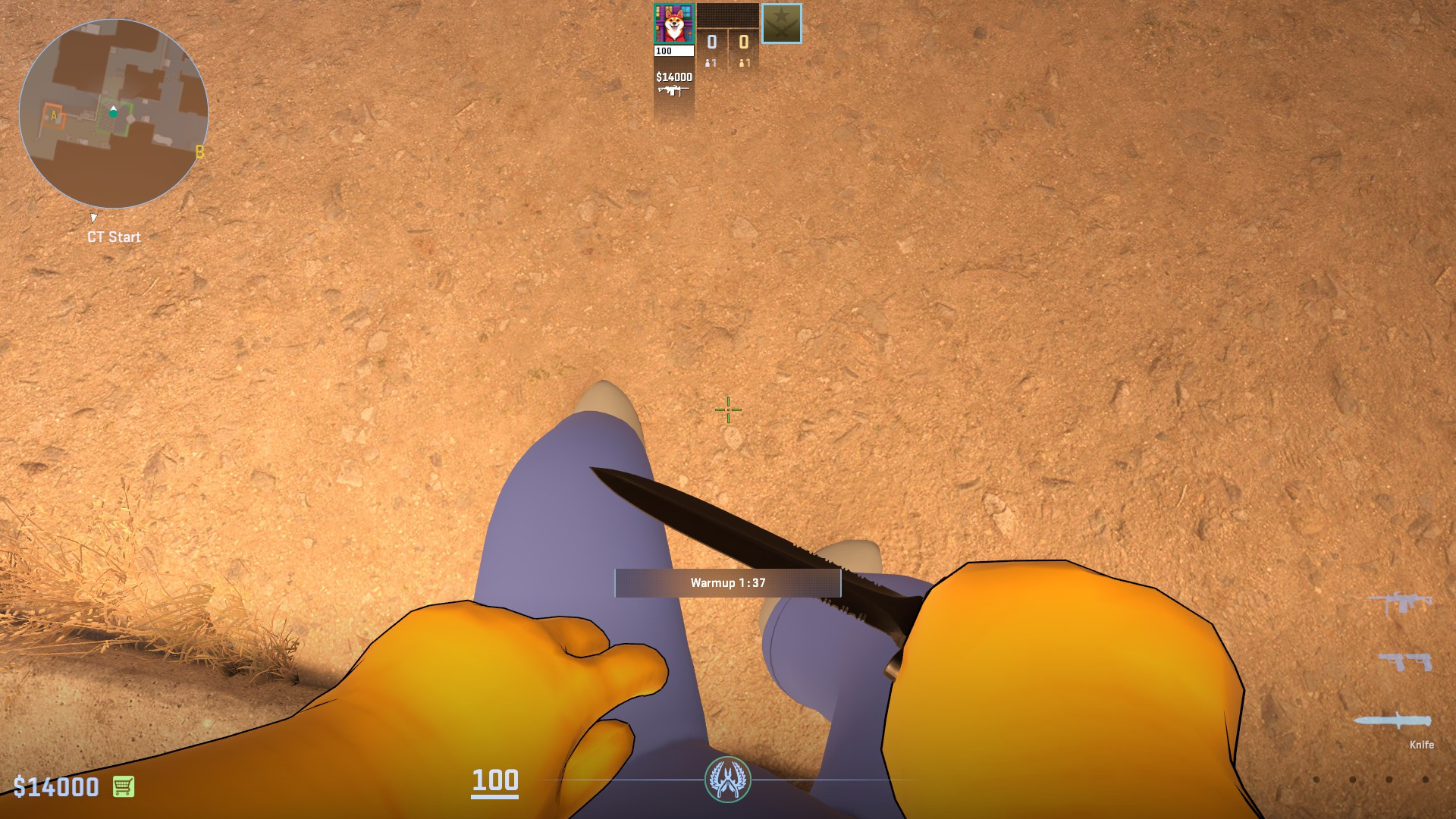 Homer Simpson Mod for Counter-Strike 2 | CS2 Mods