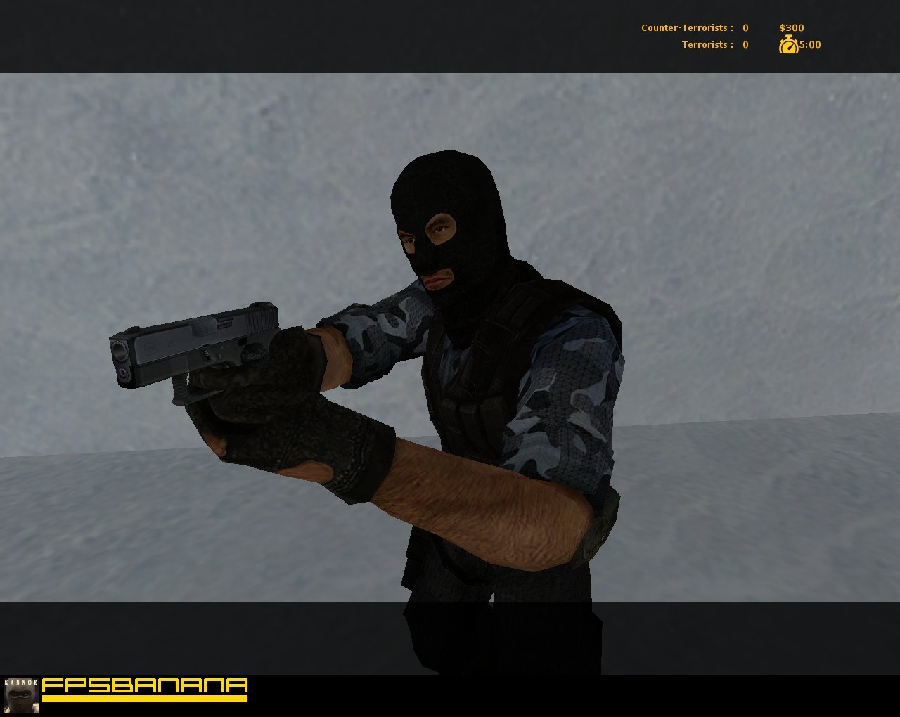 Winter Pheonix [Counter-Strike: Source] [Mods]
