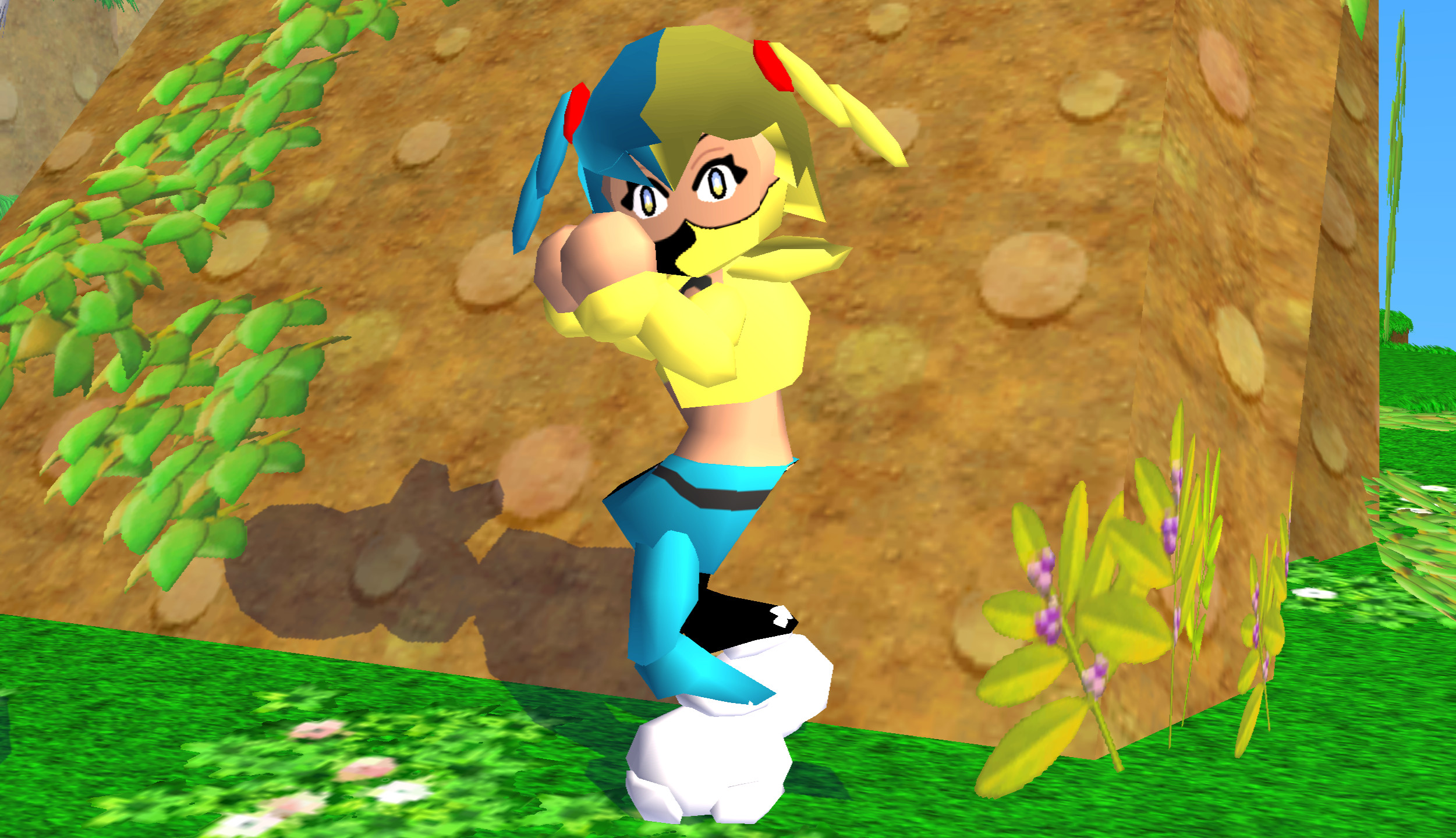 Canari (N64 Styled) Mod for Super Smash Bros. Brawl | Brawl Mods
