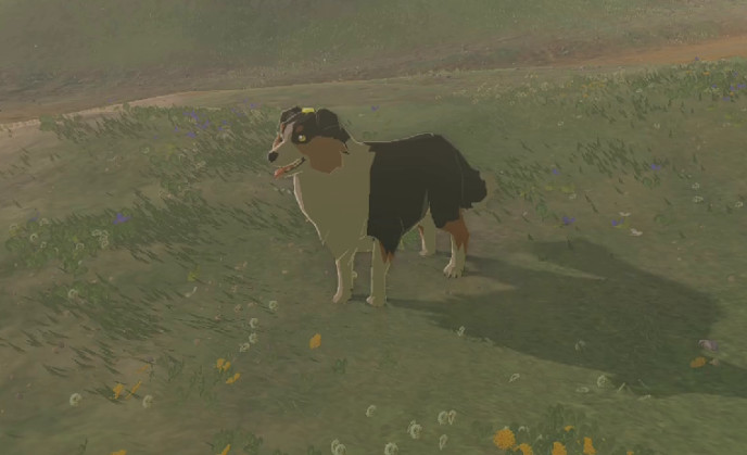 Butter Dog Mod for The Legend of Zelda: Tears of the Kingdom | TOTK Mods