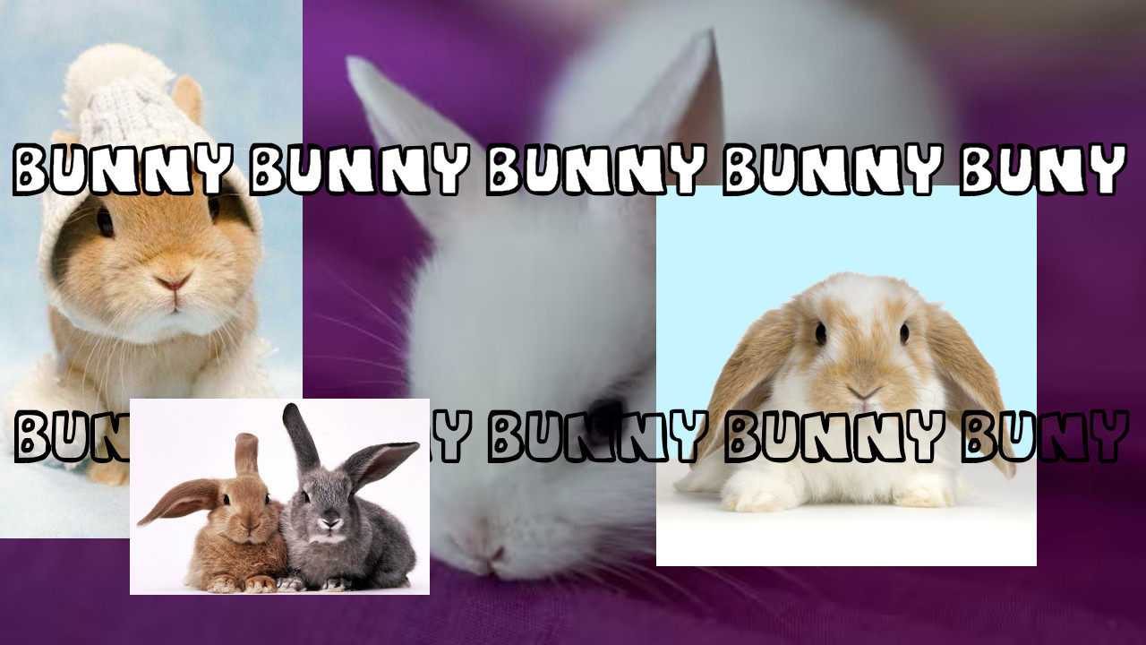 Bunny Bunny Bunny Bunny Buny Mod for Friday Night Funkin' | FNF Mods