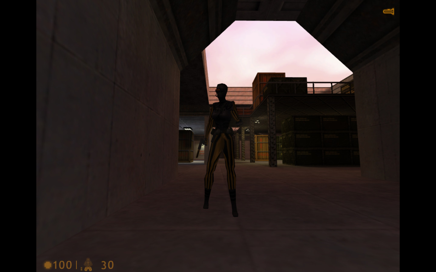Gold Assassin Mod for Half-Life | HL Mods