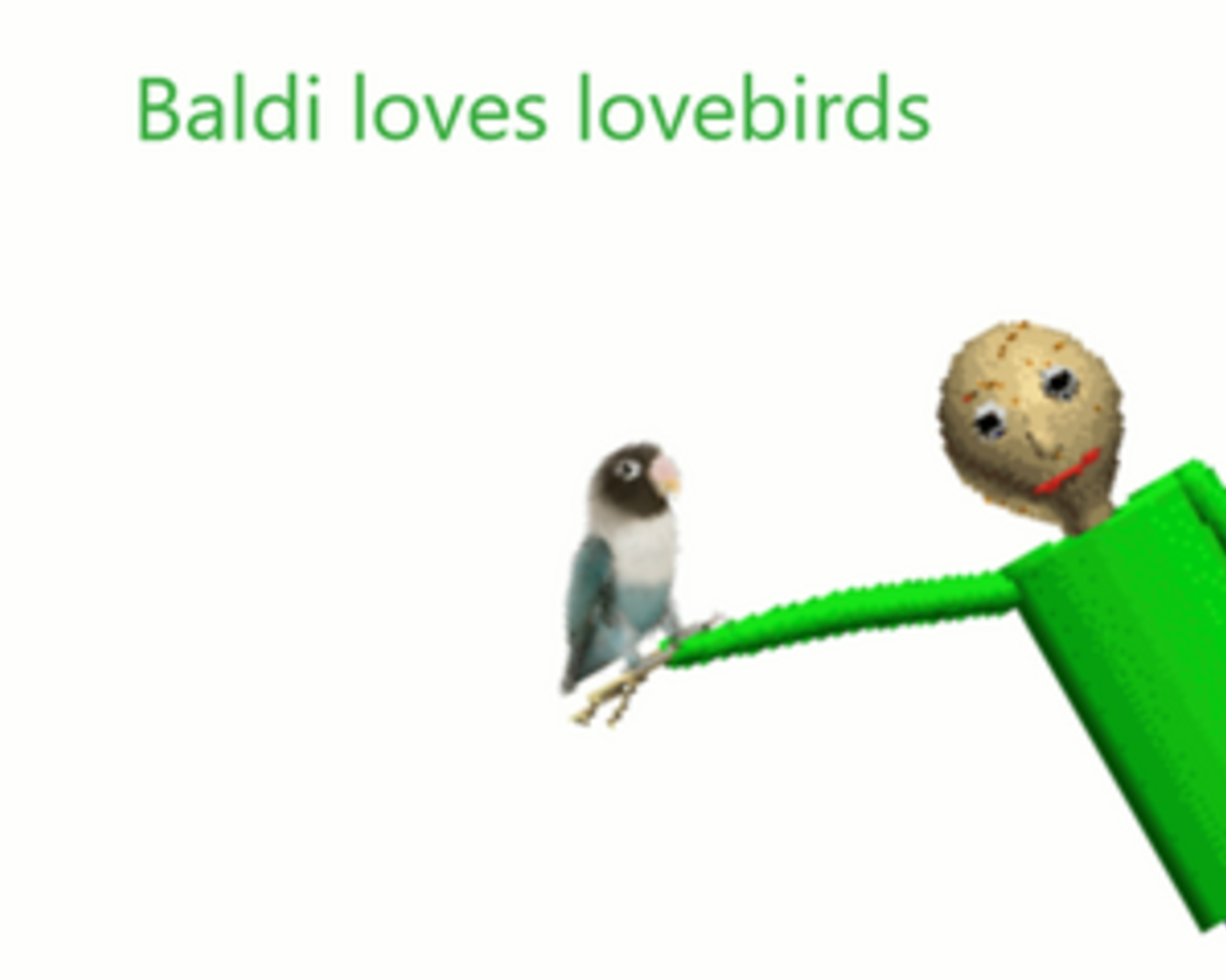 Baldi loves lovebirds Mod for Baldi's Basics | Baldi Mods