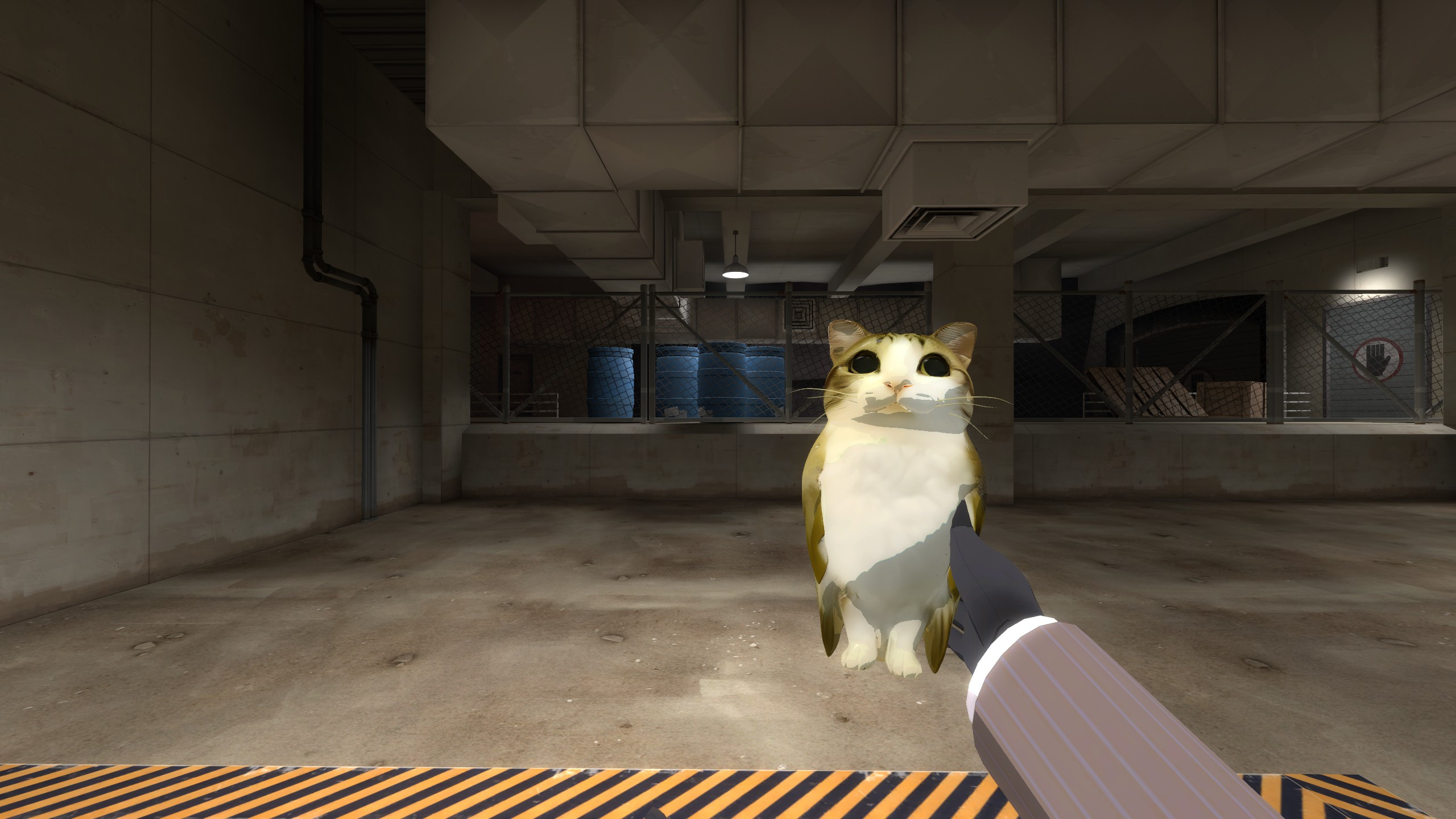 meowl sapper Mod for Team Fortress 2 | TF2 Mods