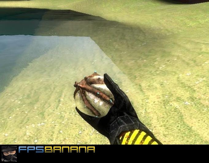 Bug Bait ReTextured Mod for Half-Life 2 | HL2 Mods