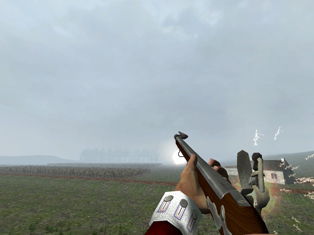 Re-textured Brown Bess Mod for Battle Grounds II | BG2 Mods