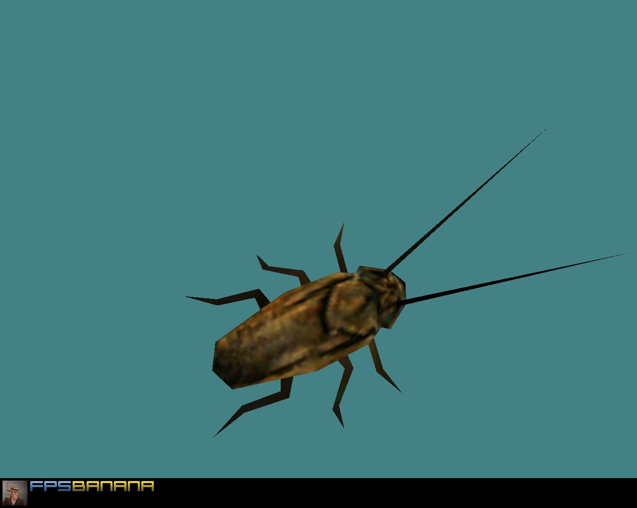 Cockroach Mod for Half-Life | HL Mods