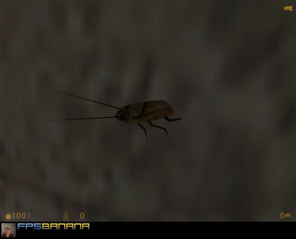 Cockroach Mod for Half-Life | HL Mods