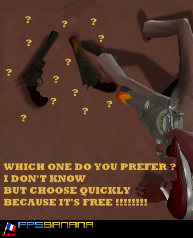 the clean ambassador NOW WITH FIRE (and hole) Mod for Team Fortress 2 ...