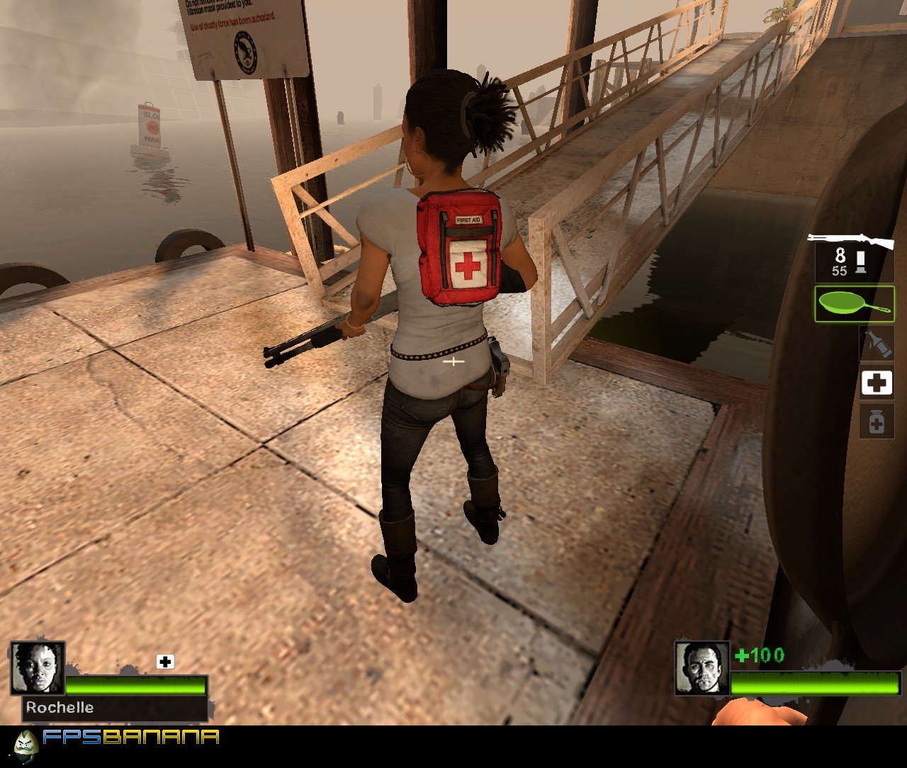 Rochelle Black - Style Mod for Left 4 Dead 2 | L4D2 Mods