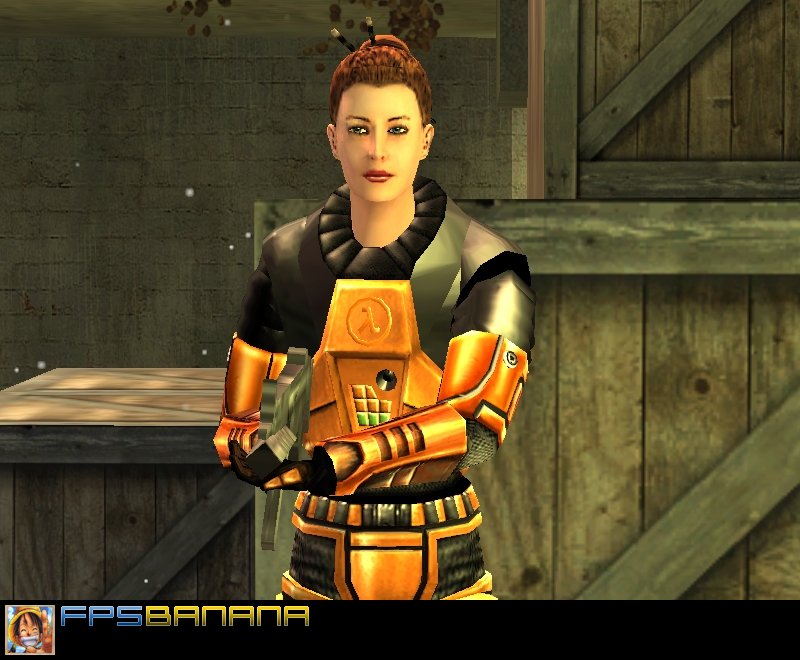 HLDMS_BETA_PLAYER_MODEL Mod for Half-Life: Source | HL:S Mods