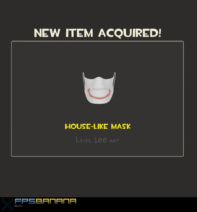 Smiling Procedure Mask [Team Fortress 2] [Mods]