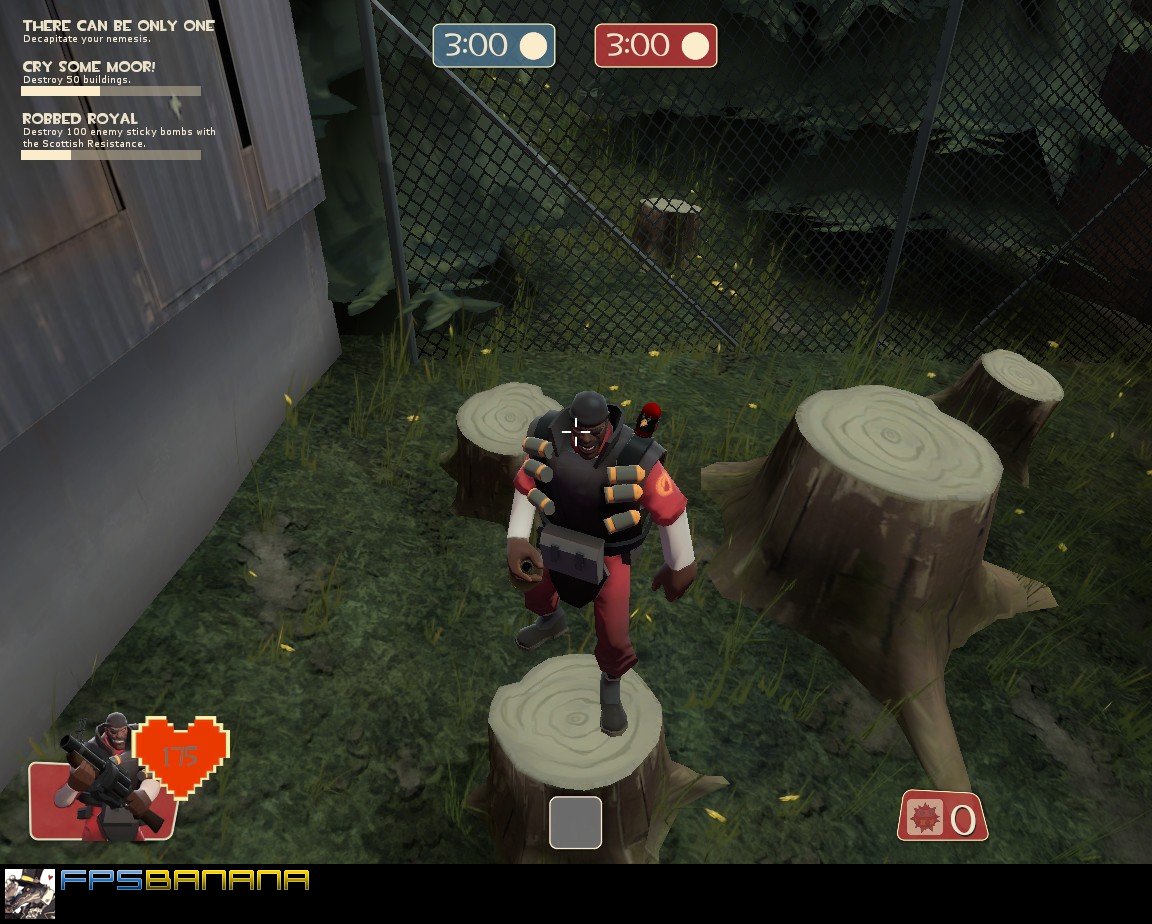 Scrumpy the parrot [Team Fortress 2] [Mods]