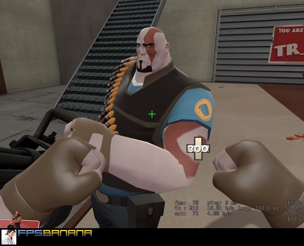 Tf2 Heavy Derp