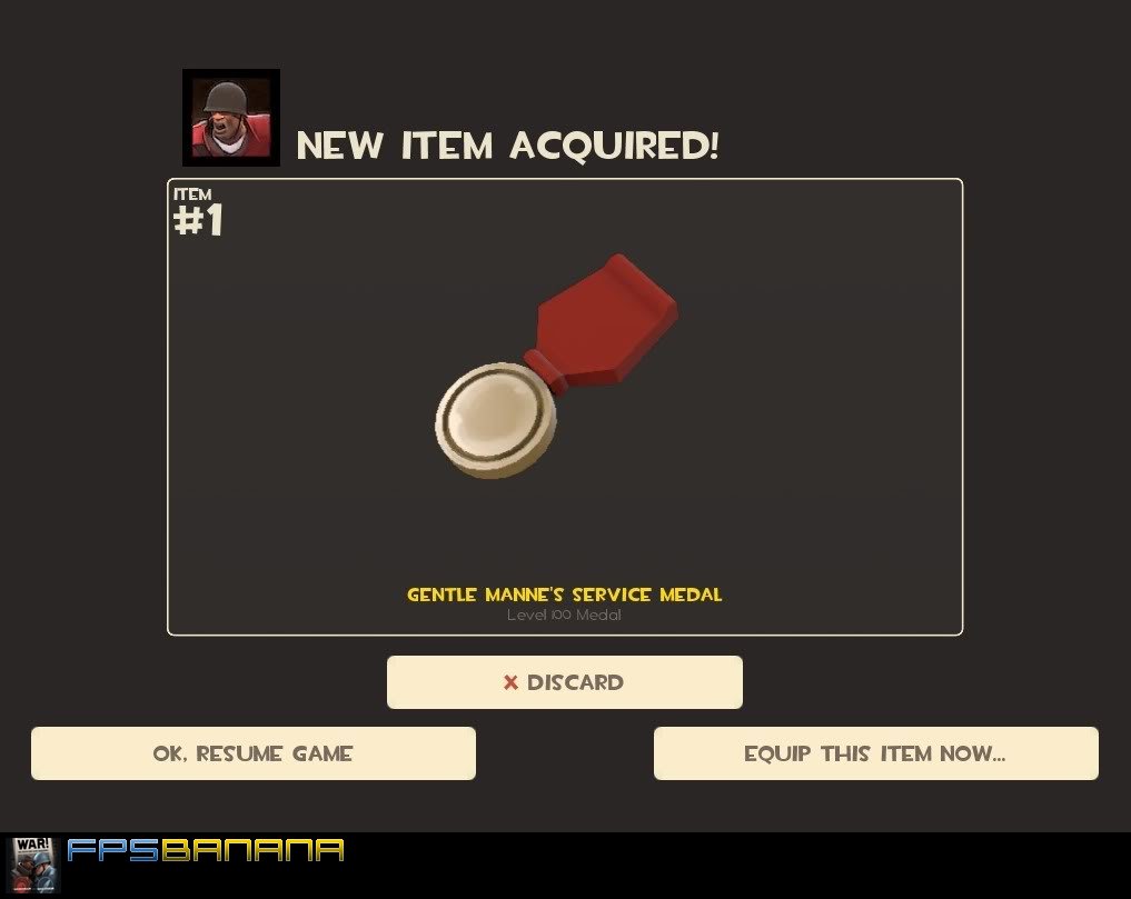Everyone Deserves A Medal Mod for Team Fortress 2 | TF2 Mods