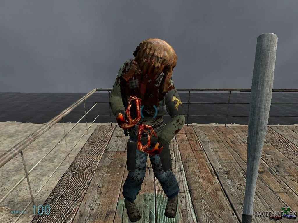 Running Zombies [Half-Life 2] [Mods]