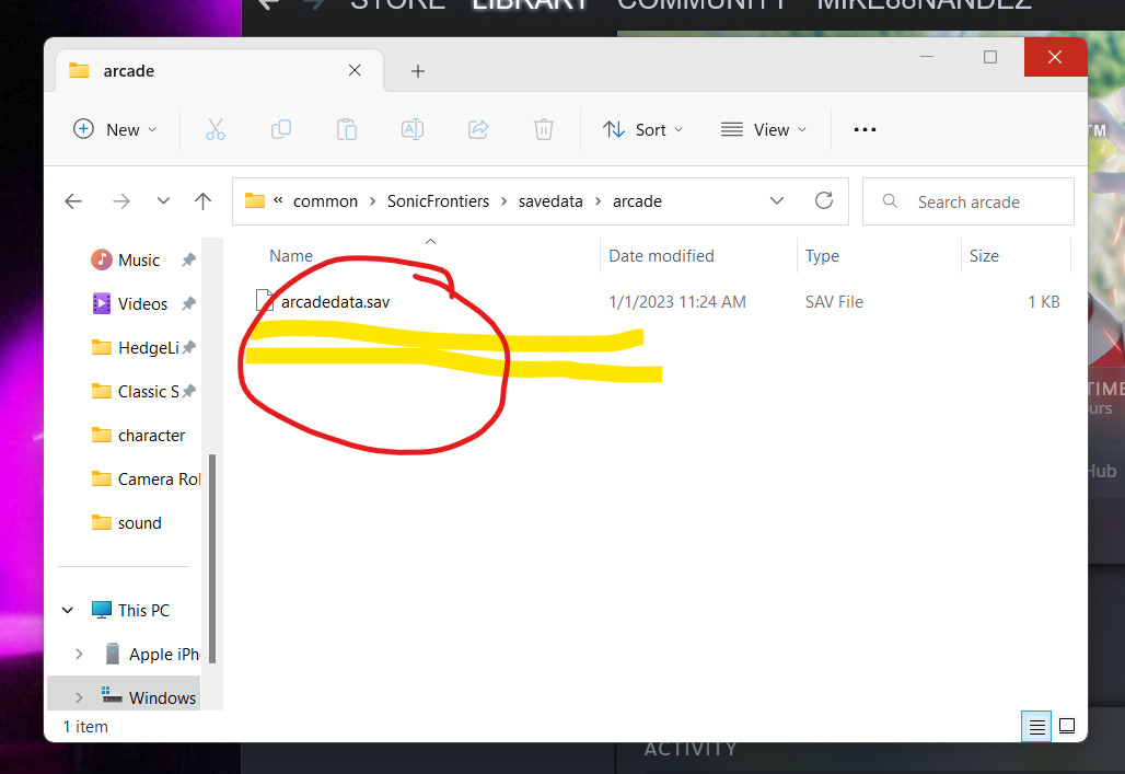 I've accidentally deleted my game save files [Sonic Frontiers] [Questions]