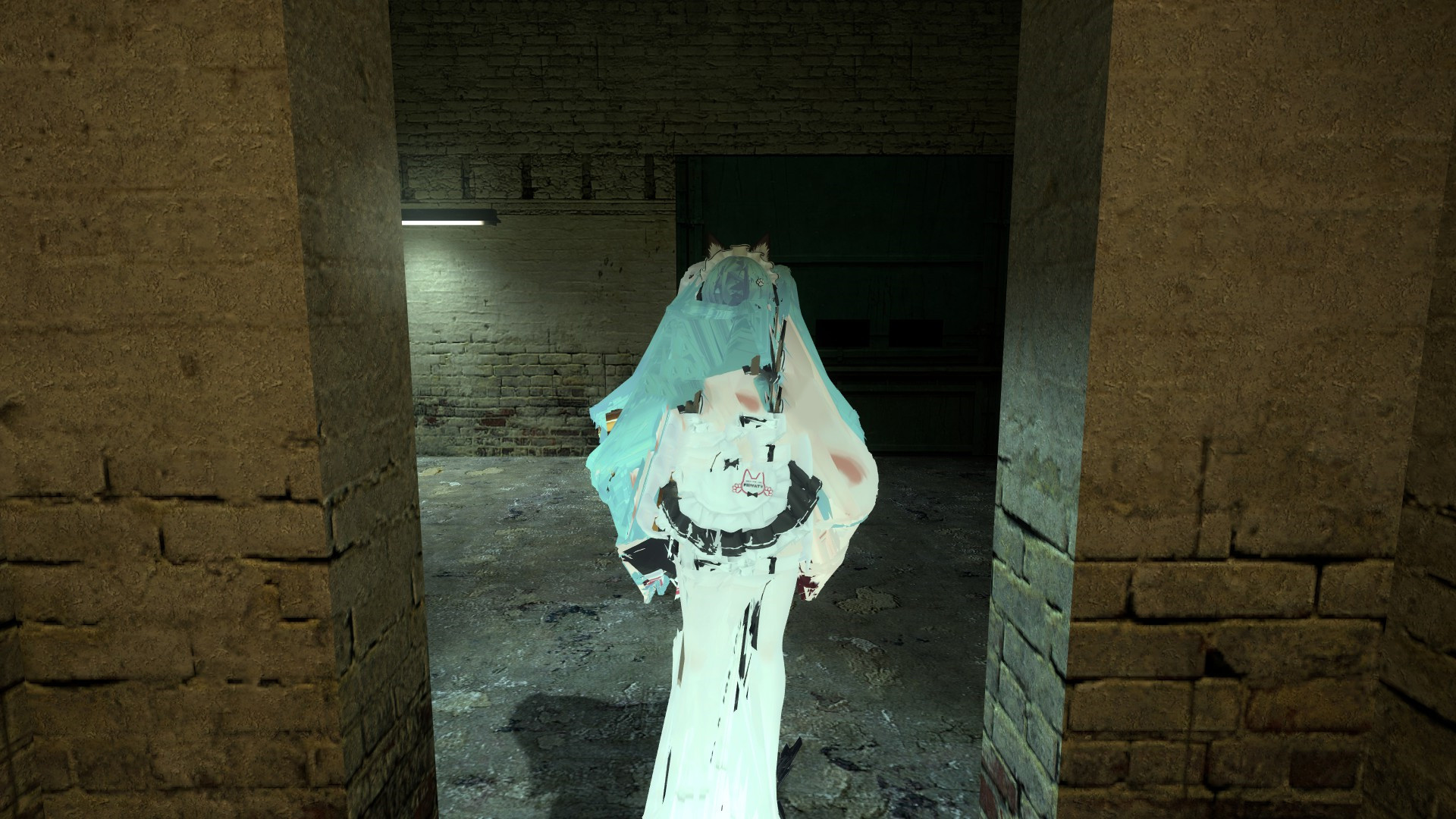 how to fix broken model Question for Half-Life 2 | HL2 Questions