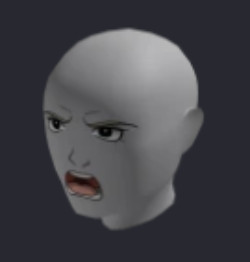 What the HELL is this face Question for Roblox | RBLX Questions