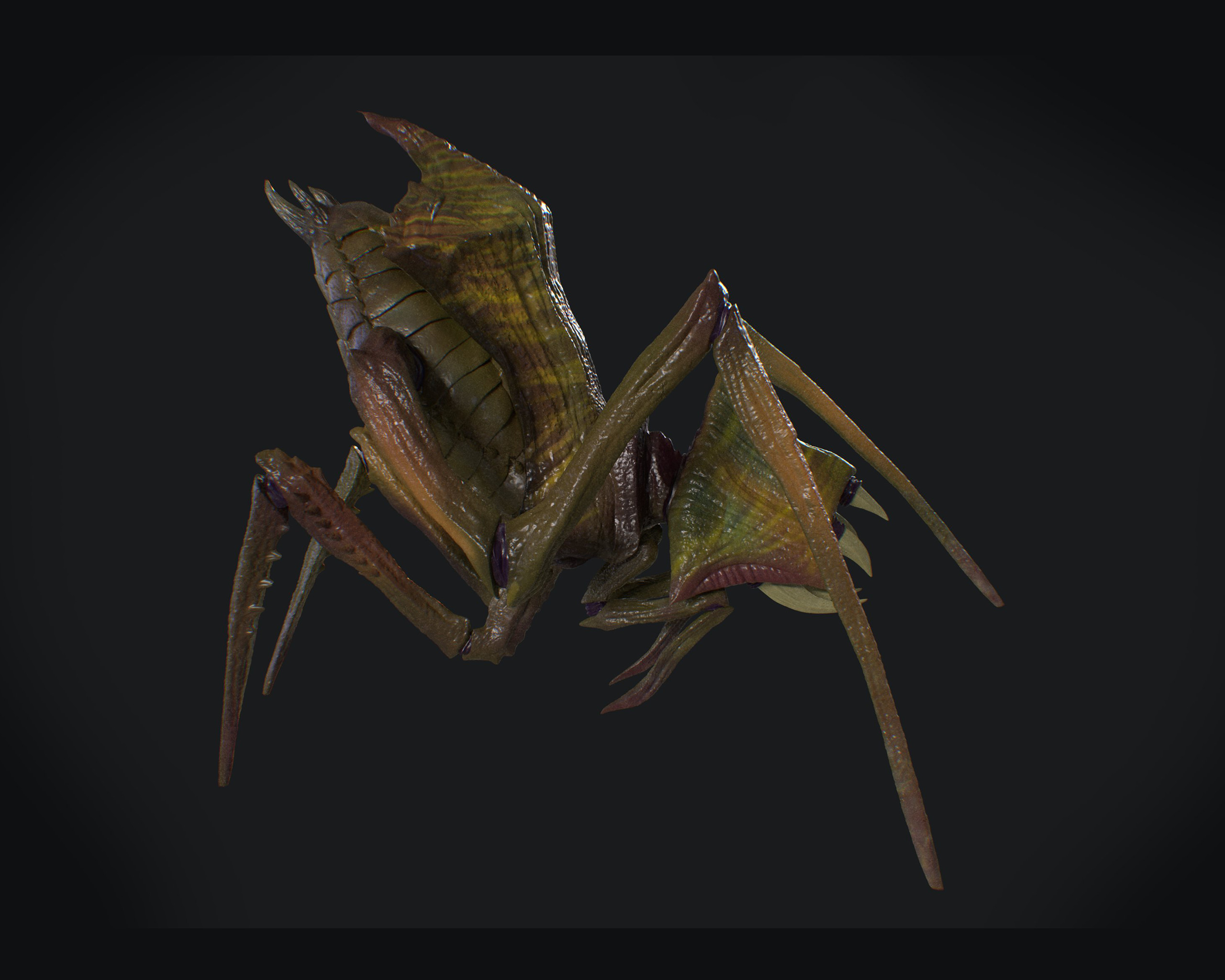 Antlion detail [Half-Life 2] [Requests]
