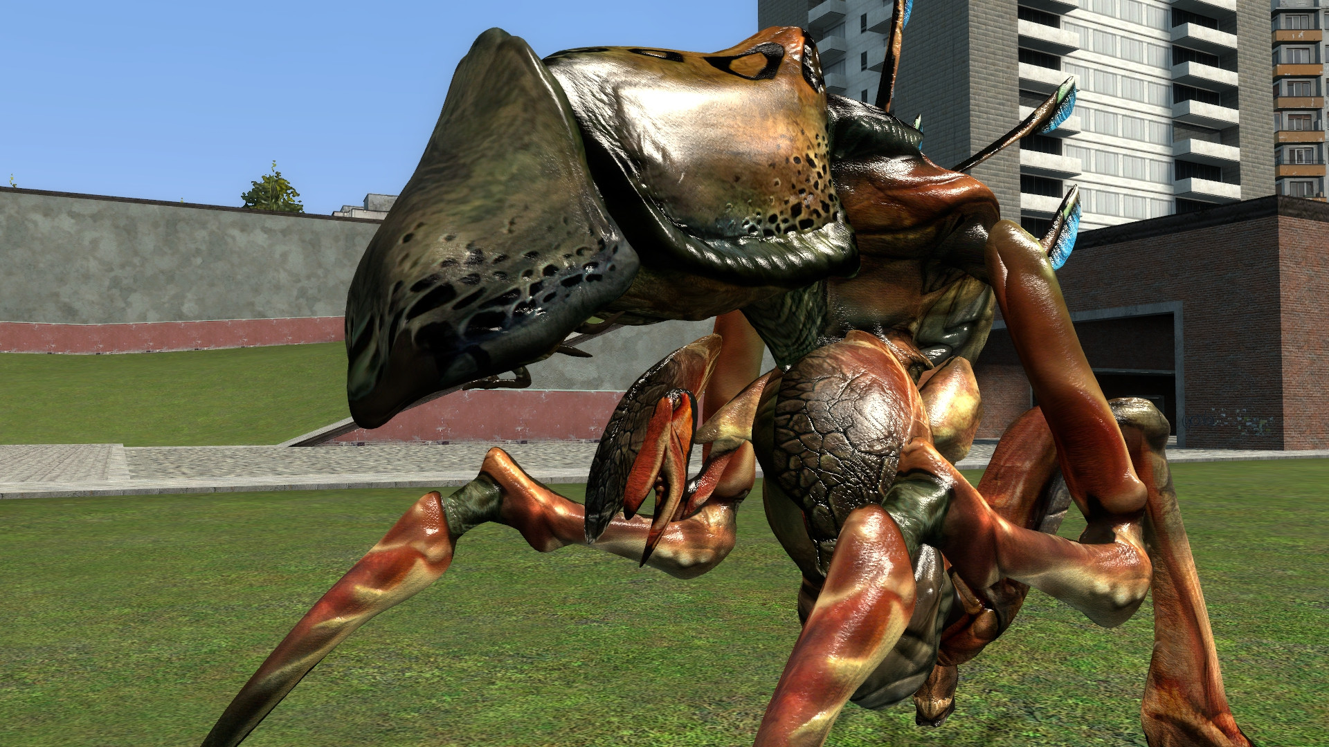 Fix the antlion guard remastered Request for Half-Life 2 | HL2 Requests