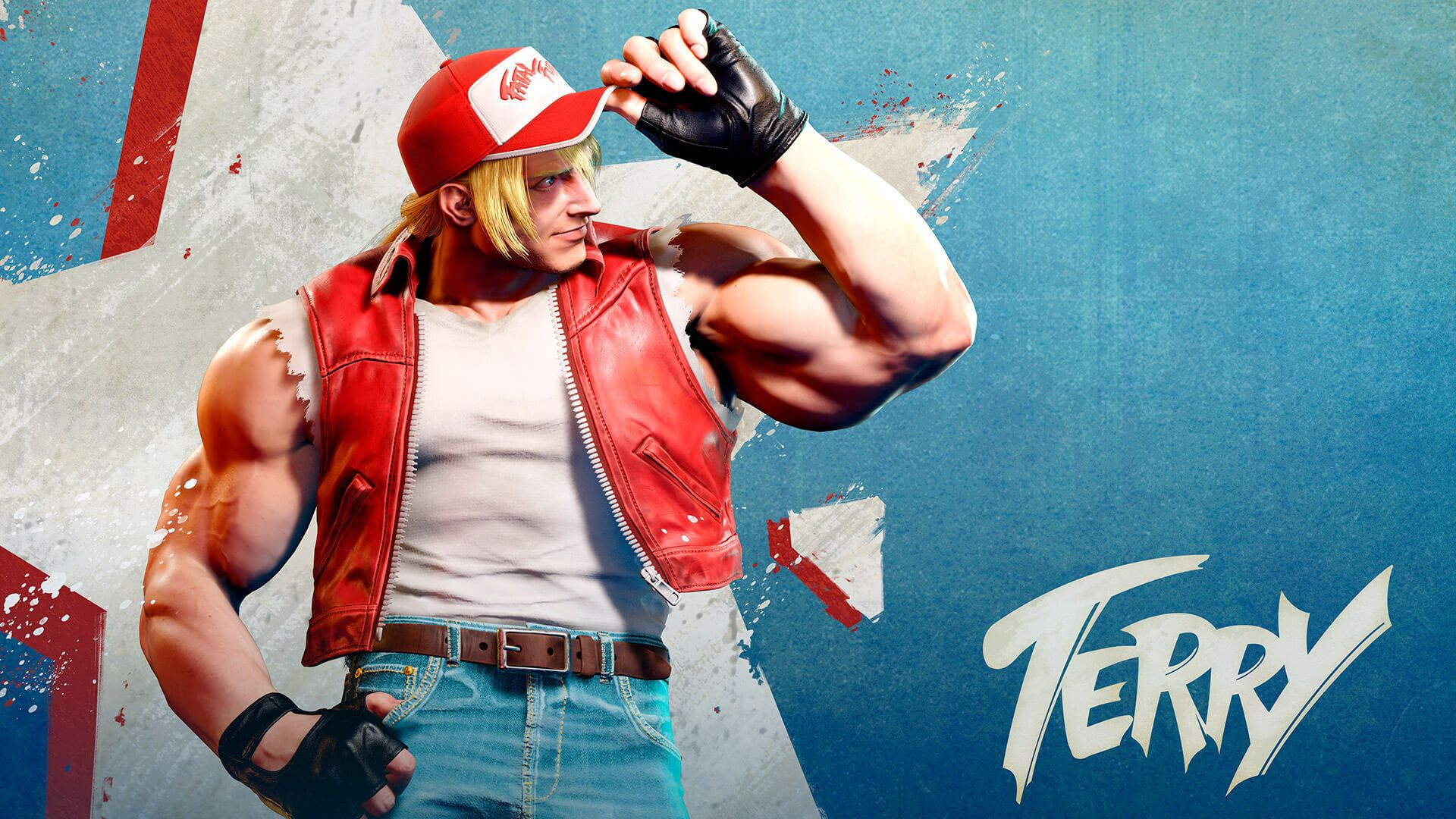 Michael Schneider voice for Terry Request for Super Smash Bros ...