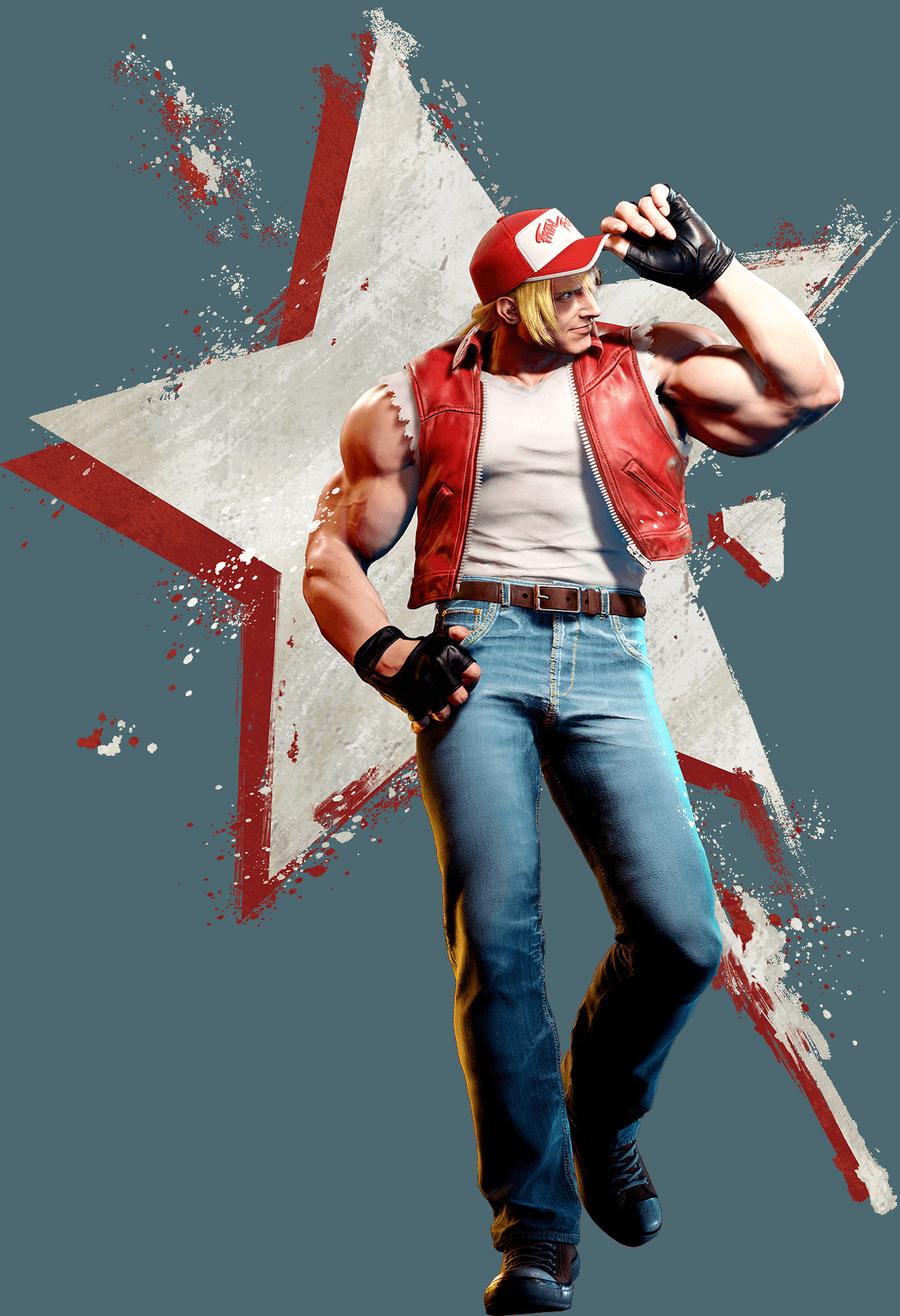 Vibrant Terry Request for Super Smash Bros. Ultimate | SSBU Requests