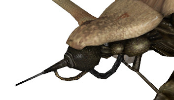 Combine aerial pulse weapons replace player weapons Request for Half ...