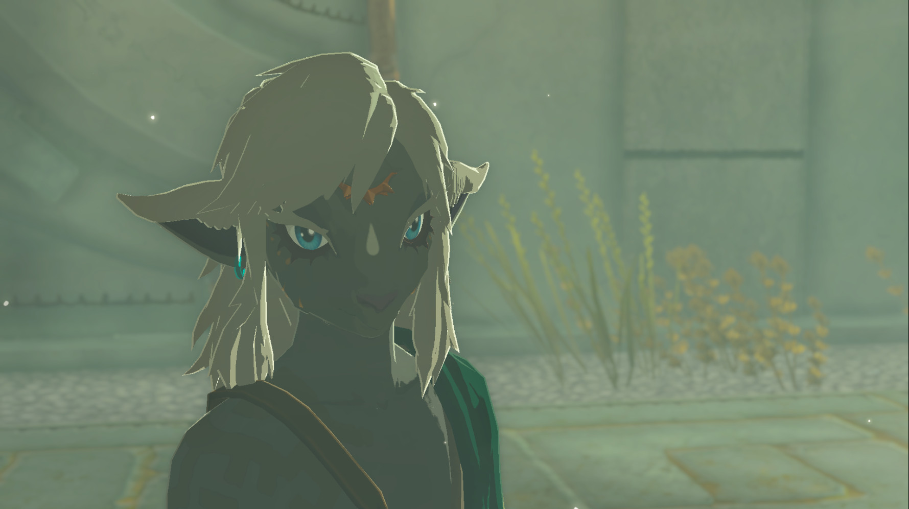 A Zonai Link! Request for The Legend of Zelda: Skyward Sword HD | SSHD ...