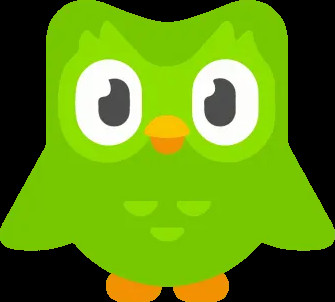 Duolingo in CTGP-7 Request for Mario Kart 7 | MK7 Requests