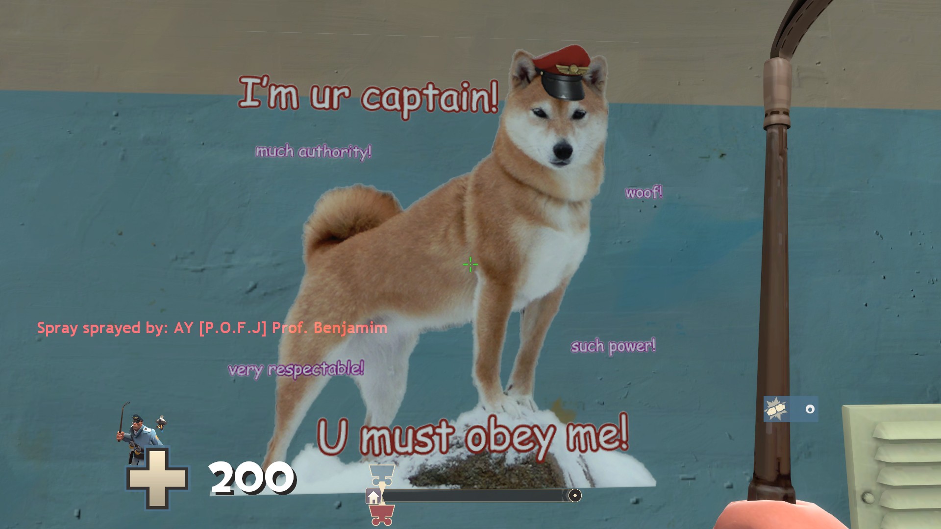 Captain Doge [Team Fortress 2] [Sprays]