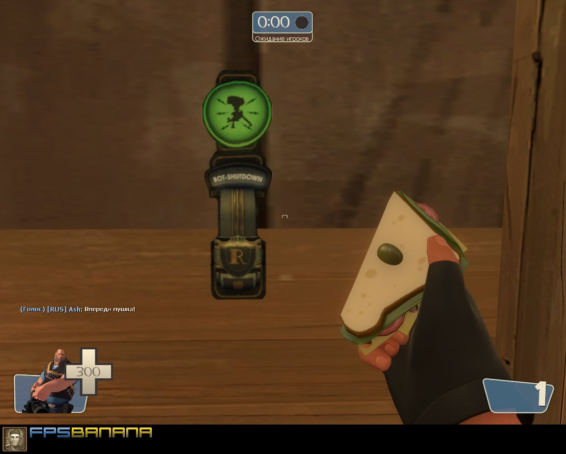 Bot Shutdown [Team Fortress 2] [Sprays]