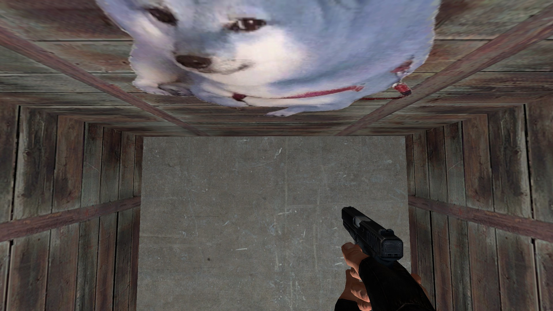 Blue doge [Counter-Strike: Source] [Sprays]