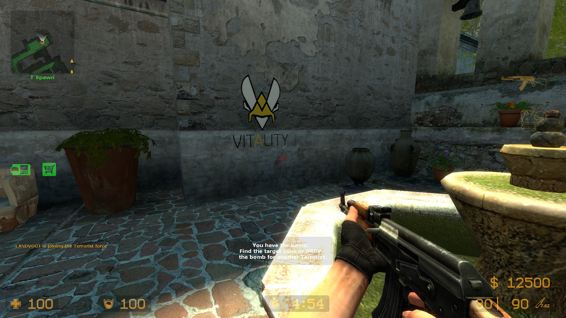 Vitality Spray for Counter-Strike: Source | CS:S Sprays