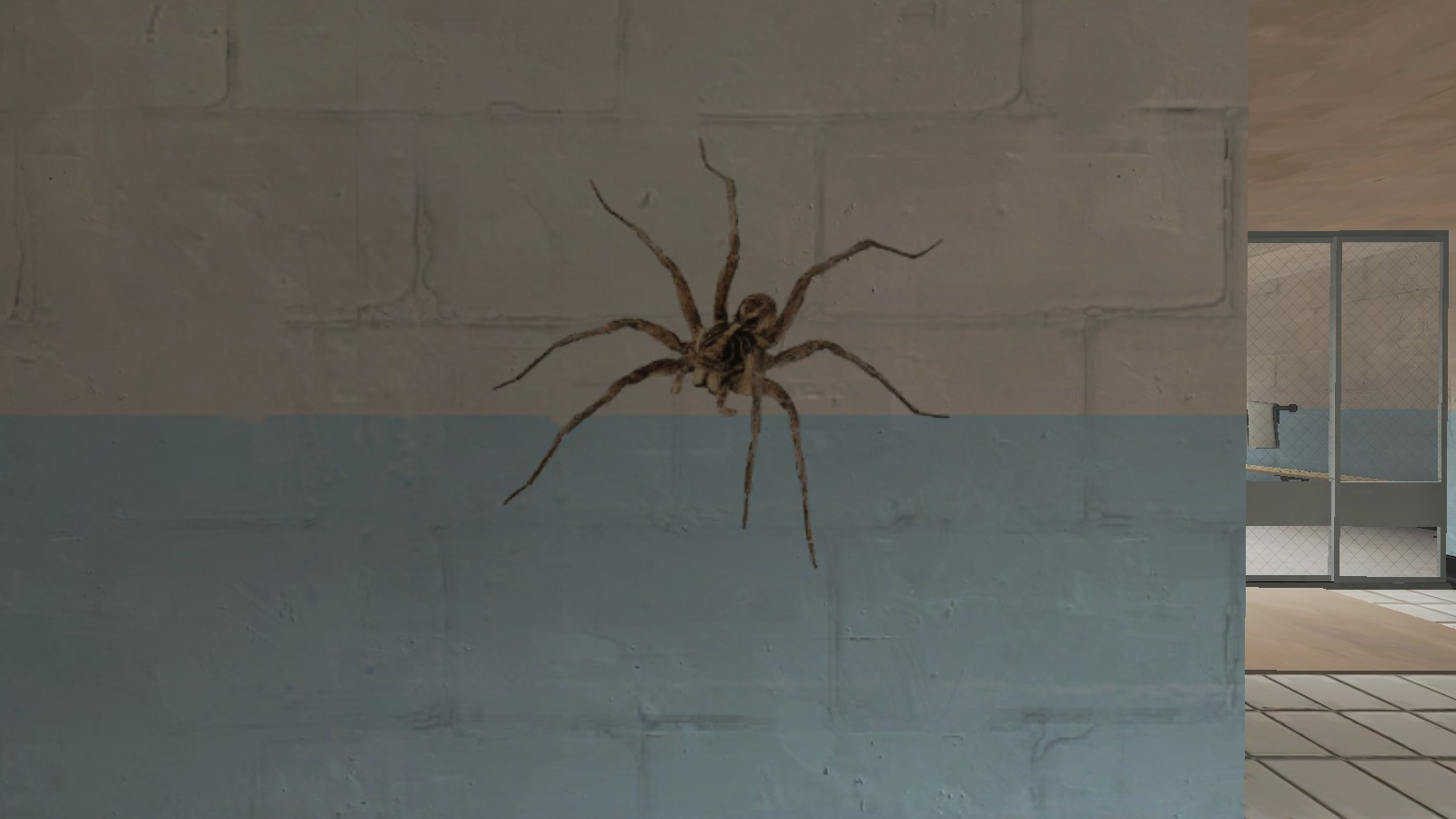 Transparent Spider [Team Fortress 2] [Sprays]