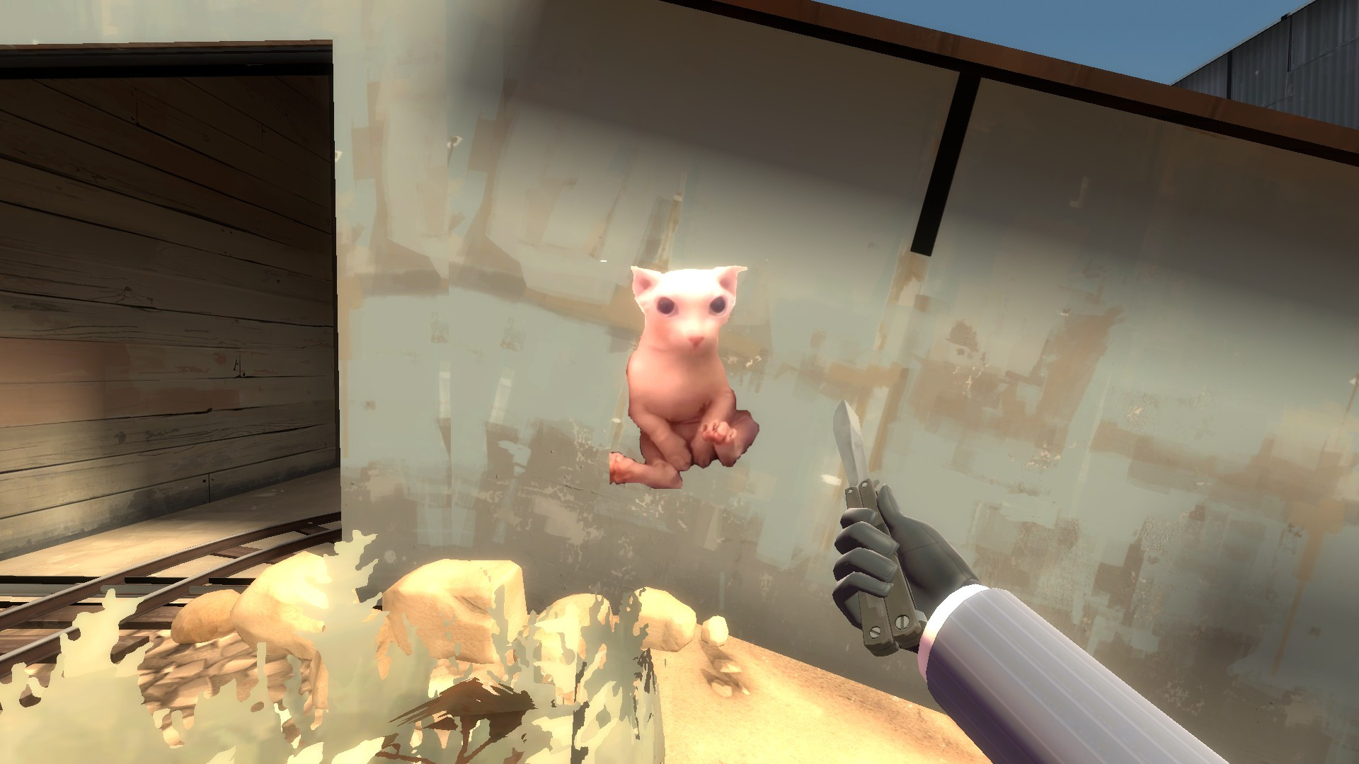 Very Upset about tom brady's BINGUS joke at the white house today Angry ...