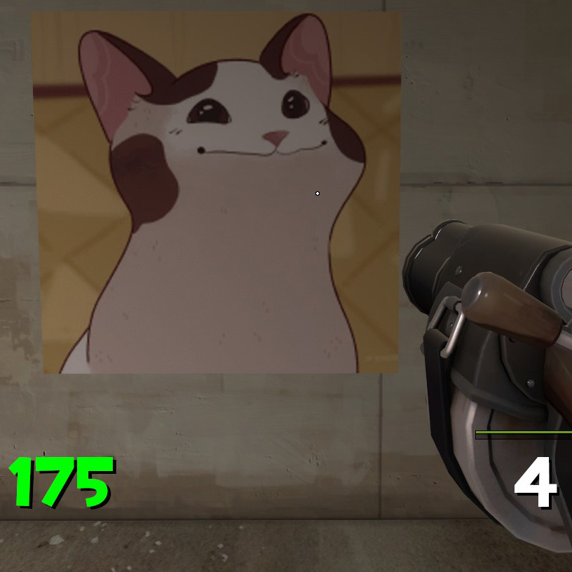 HD Pop Cat [Source Engine] [Sprays]