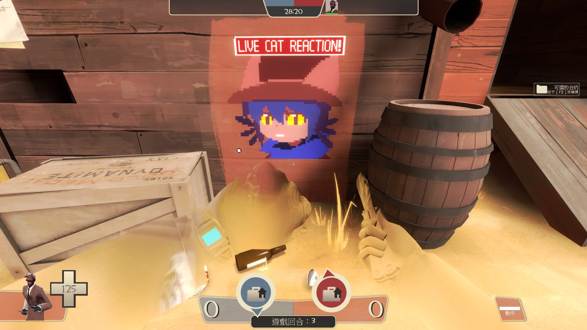 Live Cat Reaction![Oneshot] Spray for Team Fortress 2 | TF2 Sprays