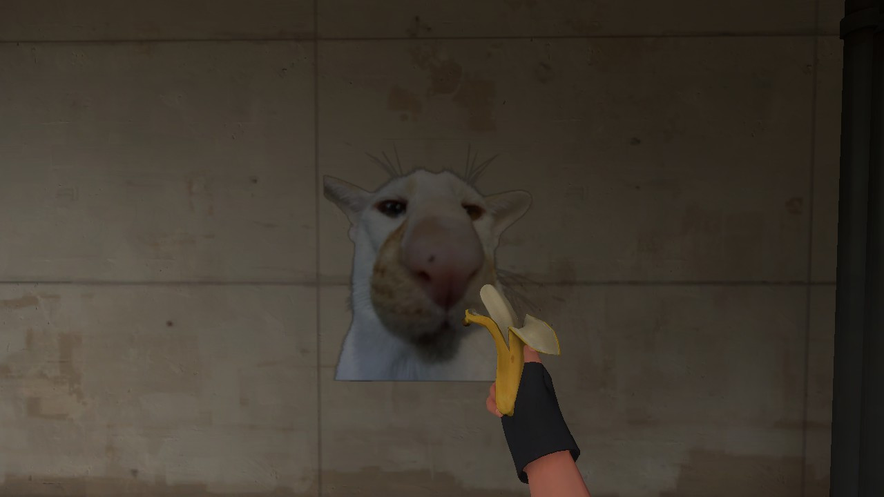 Silly cat (2 VERSIONS) [Team Fortress 2] [Sprays]