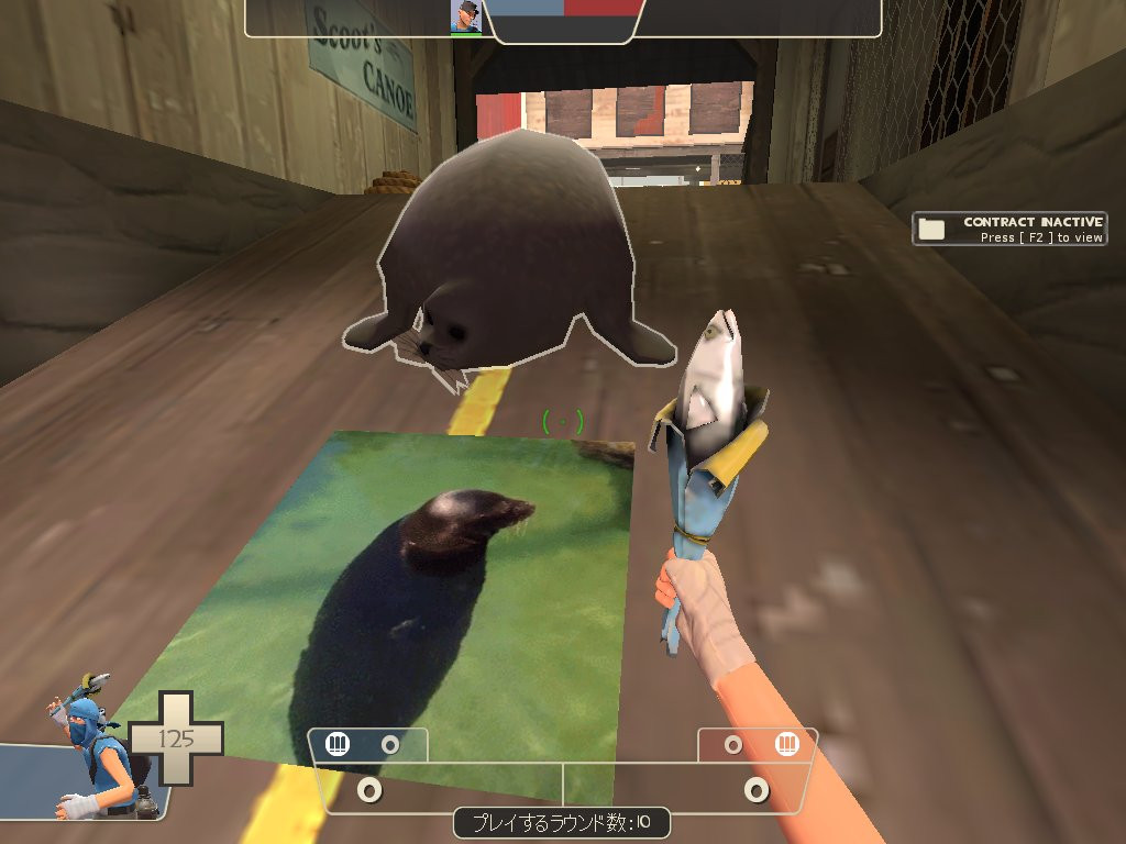 seal round and round Spray for Team Fortress 2 | TF2 Sprays