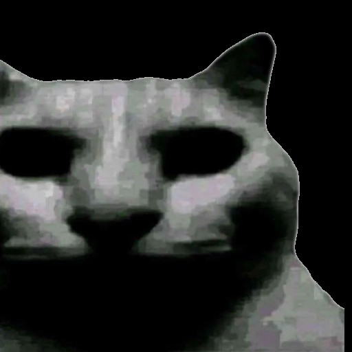 Cat is disappointed at you Spray for Team Fortress 2 | TF2 Sprays