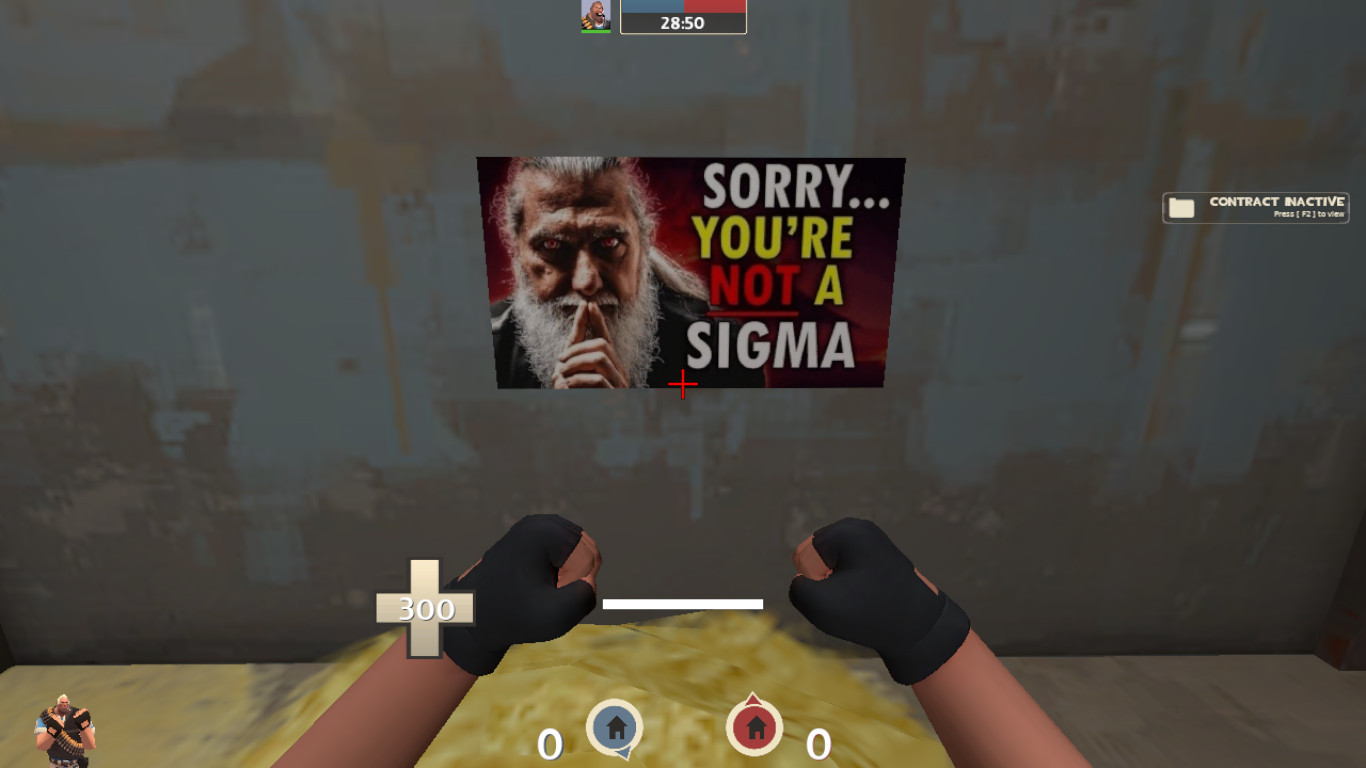 SORRY... YOU´RE NOT A SIGMA Spray for Team Fortress 2 | TF2 Sprays