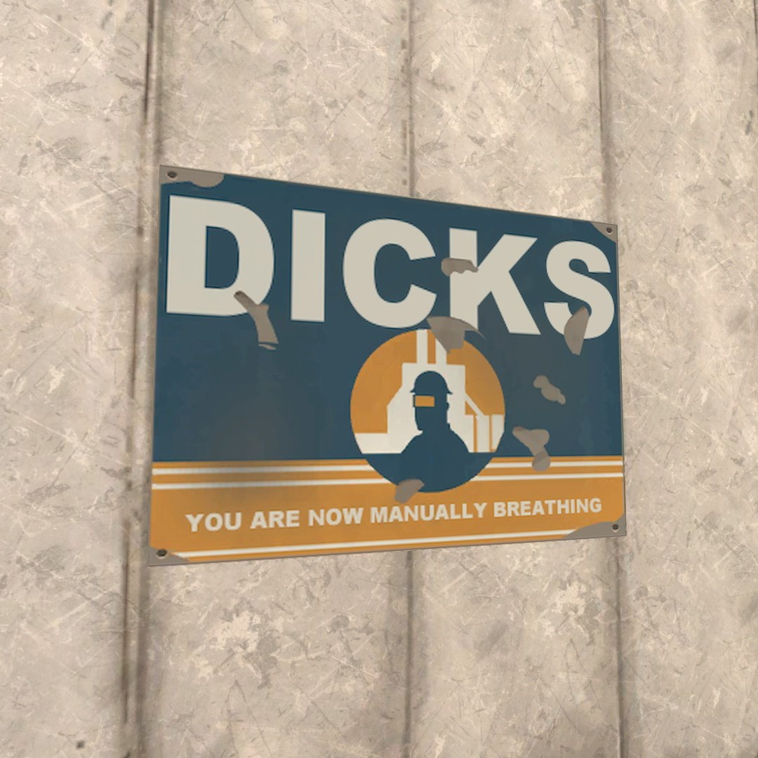 [SENSITIVE CONTENT] BIGGS Prank Signs (2 Pack) Spray for Team Fortress ...
