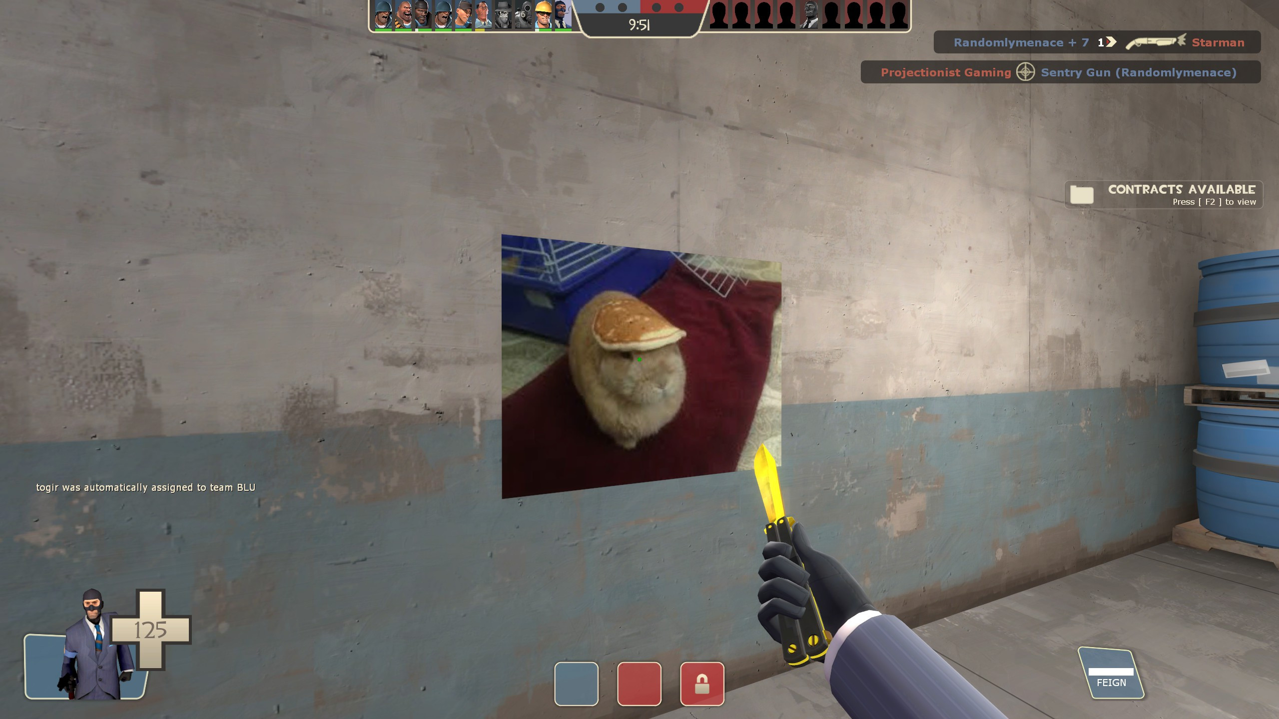 Bunny Pancake Spray Spray for Team Fortress 2 | TF2 Sprays