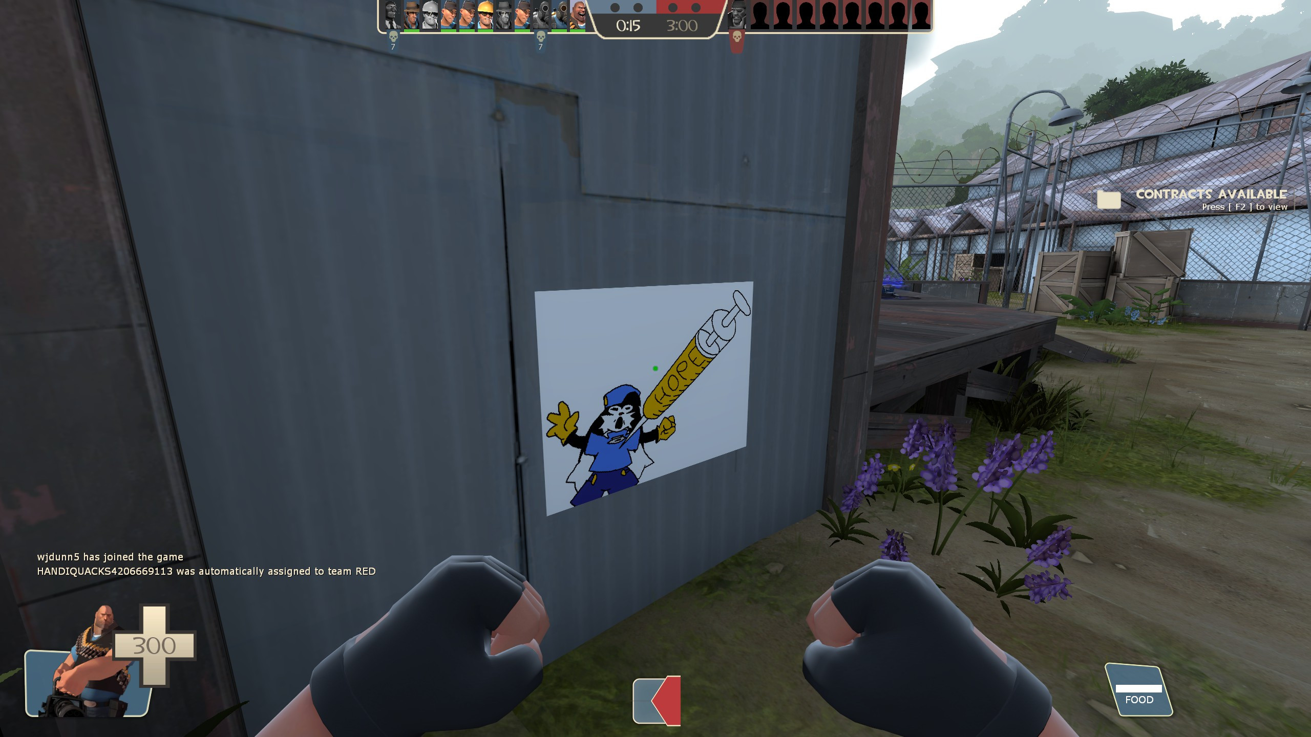 Klonoa Hope Injection Meme Spray Spray for Team Fortress 2 | TF2 Sprays