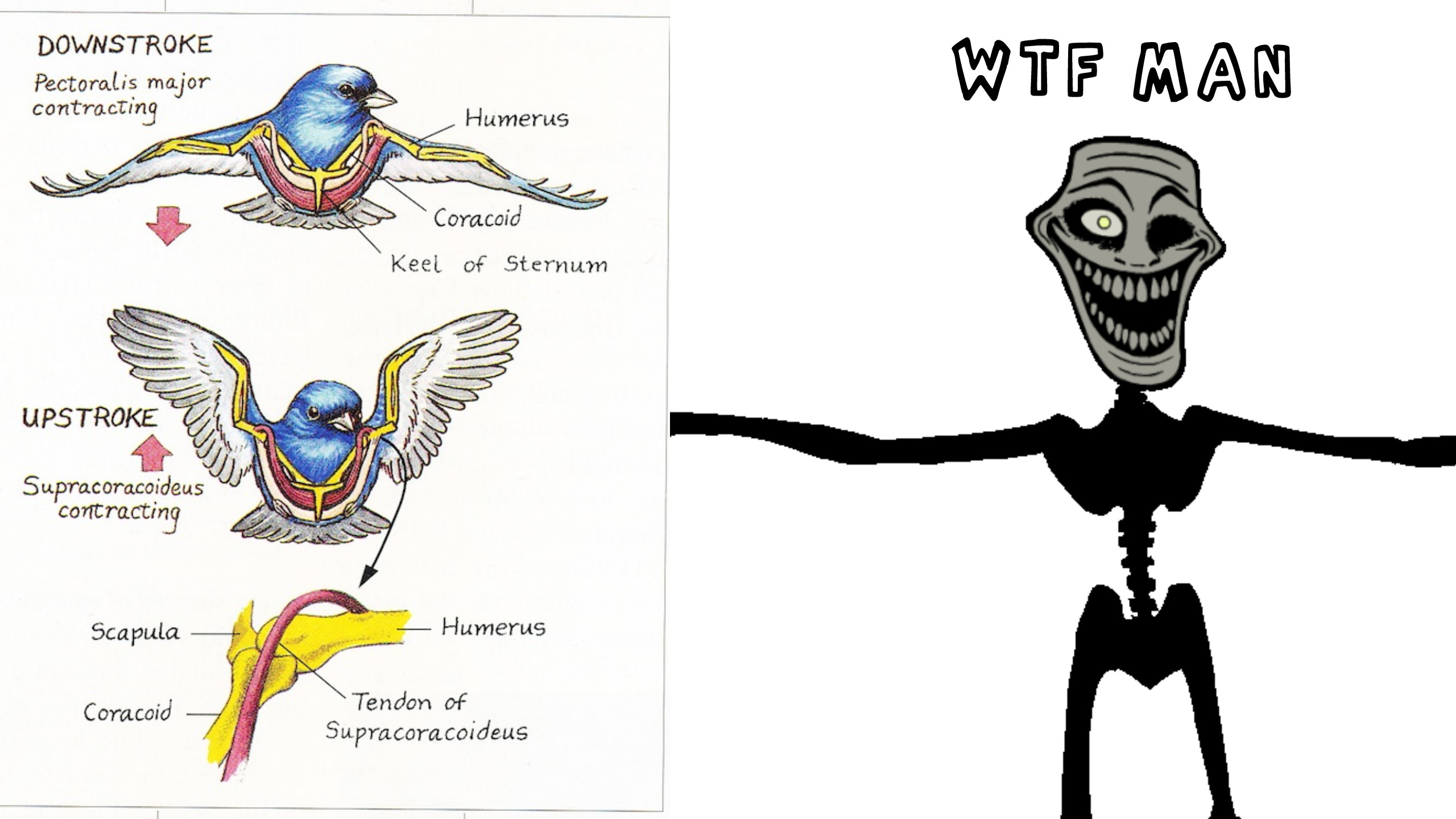 Trollge Case 023 Soundfont Modding Tool for Friday Night Funkin' | FNF ...